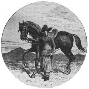 picturing Isabella Bird | Simply Curious