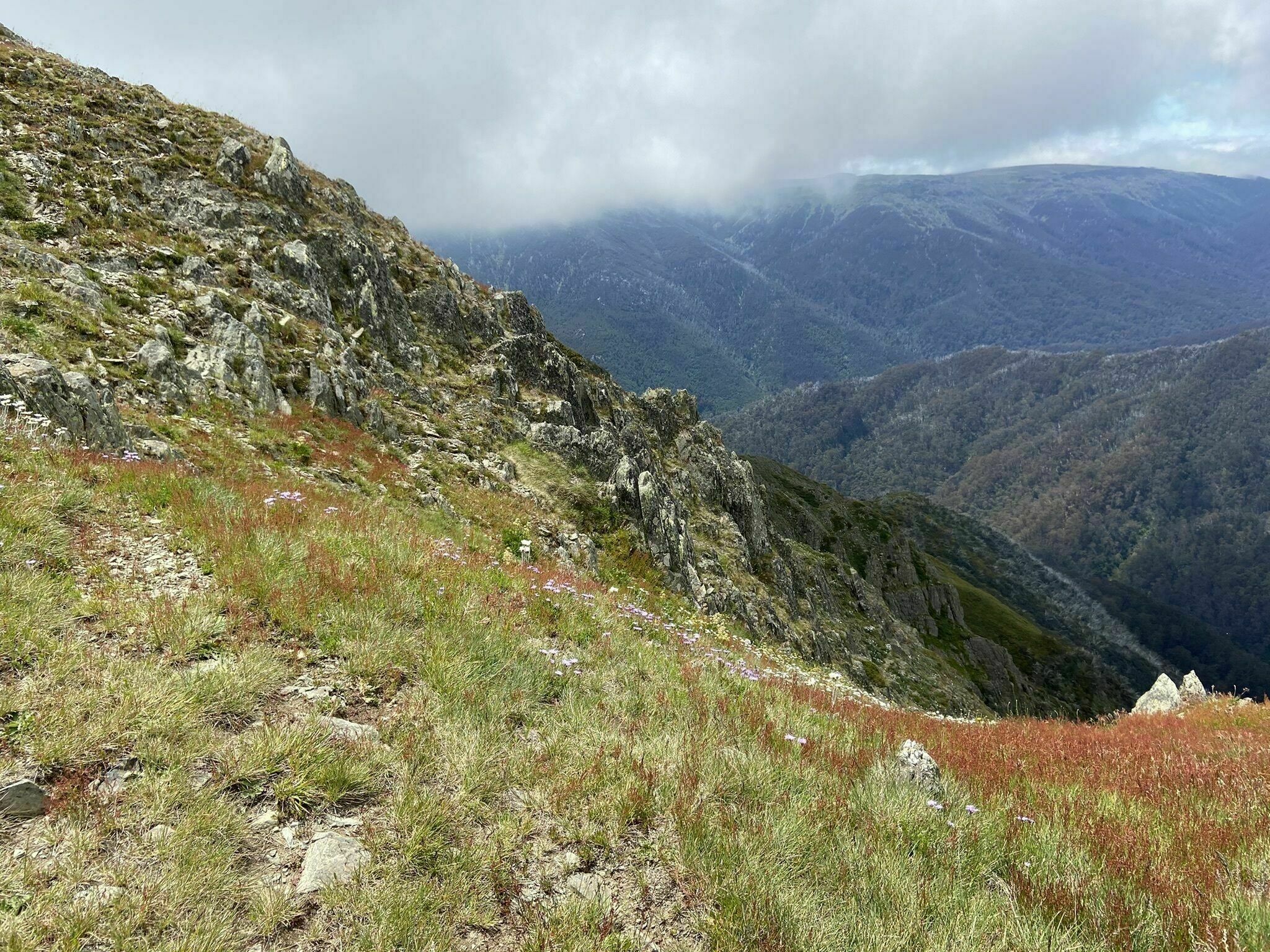 Mount Feathertop via The Razorback