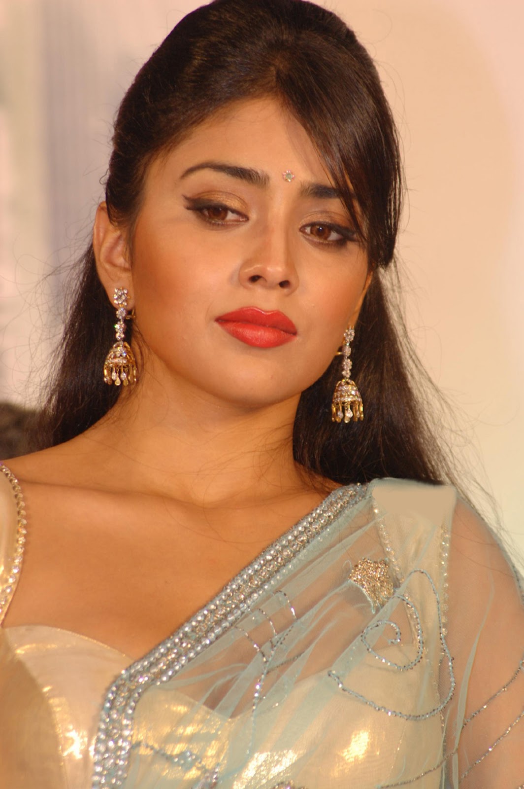 High Quality Bollywood Celebrity Pictures Shriya Saran Sexy In Saree At A Award Function
