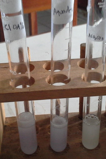 Praktikum Biokimia (Pengaruh pH Terhadap Aktivitas Enzim)