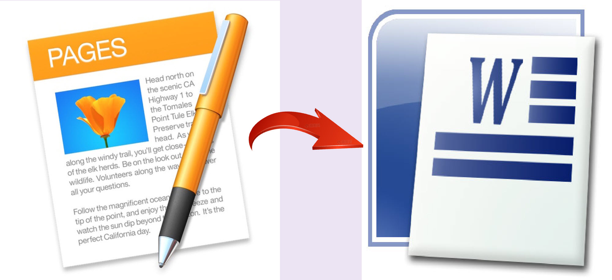 Pages Files Microsoft Word pages-files-microsoft-word