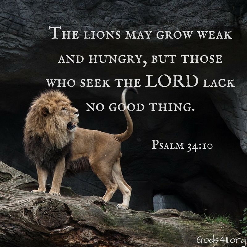 Random Access Psalm 34 10 Lack No Good Thing
