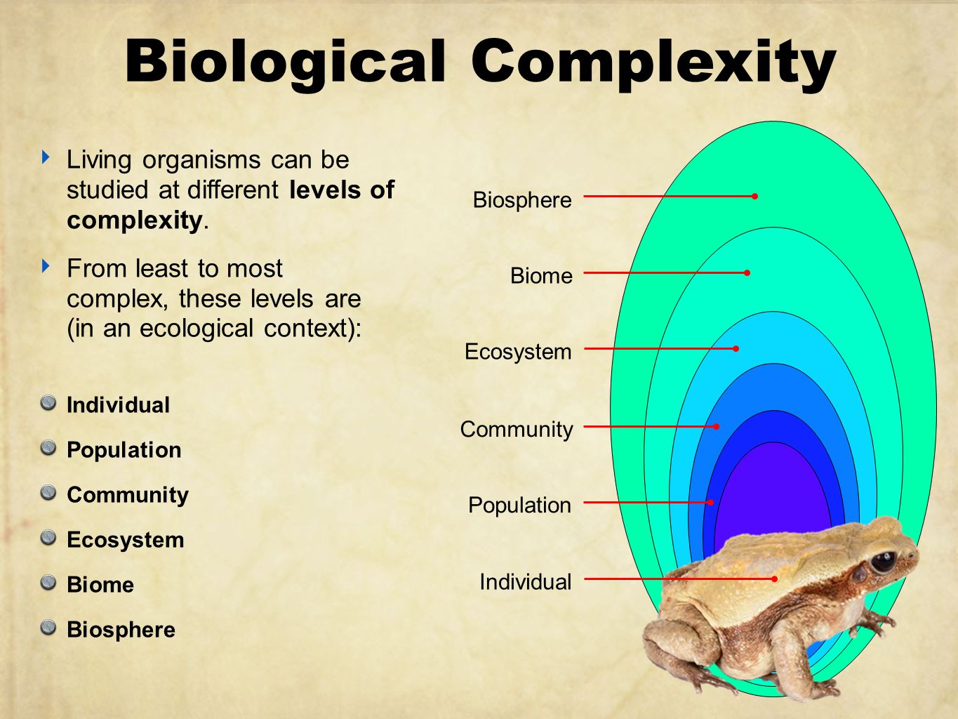 Desafiando a Nomenklatura Científica: Os fundamentos físicos da ...