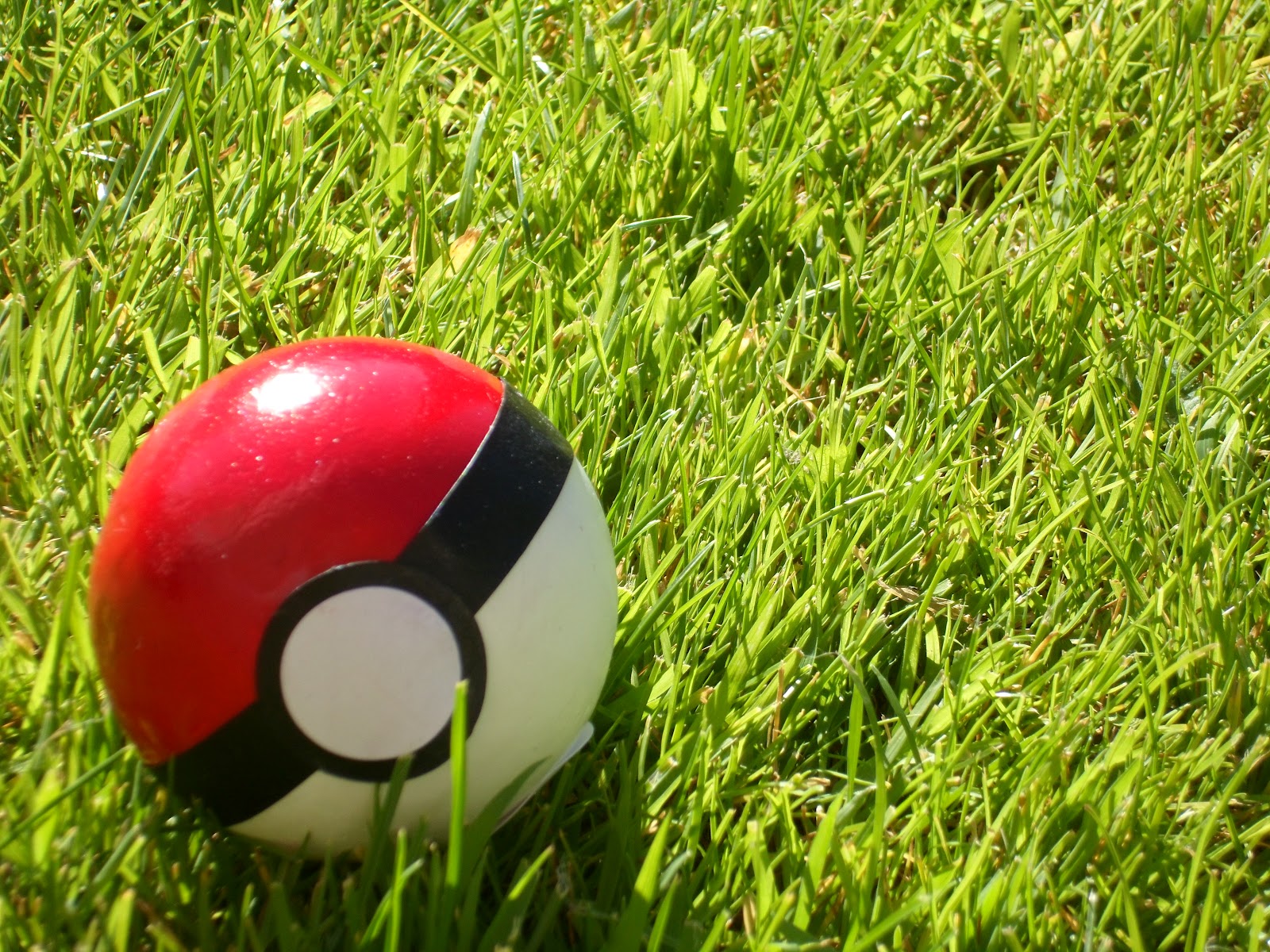 Demon-Works: Pokéball