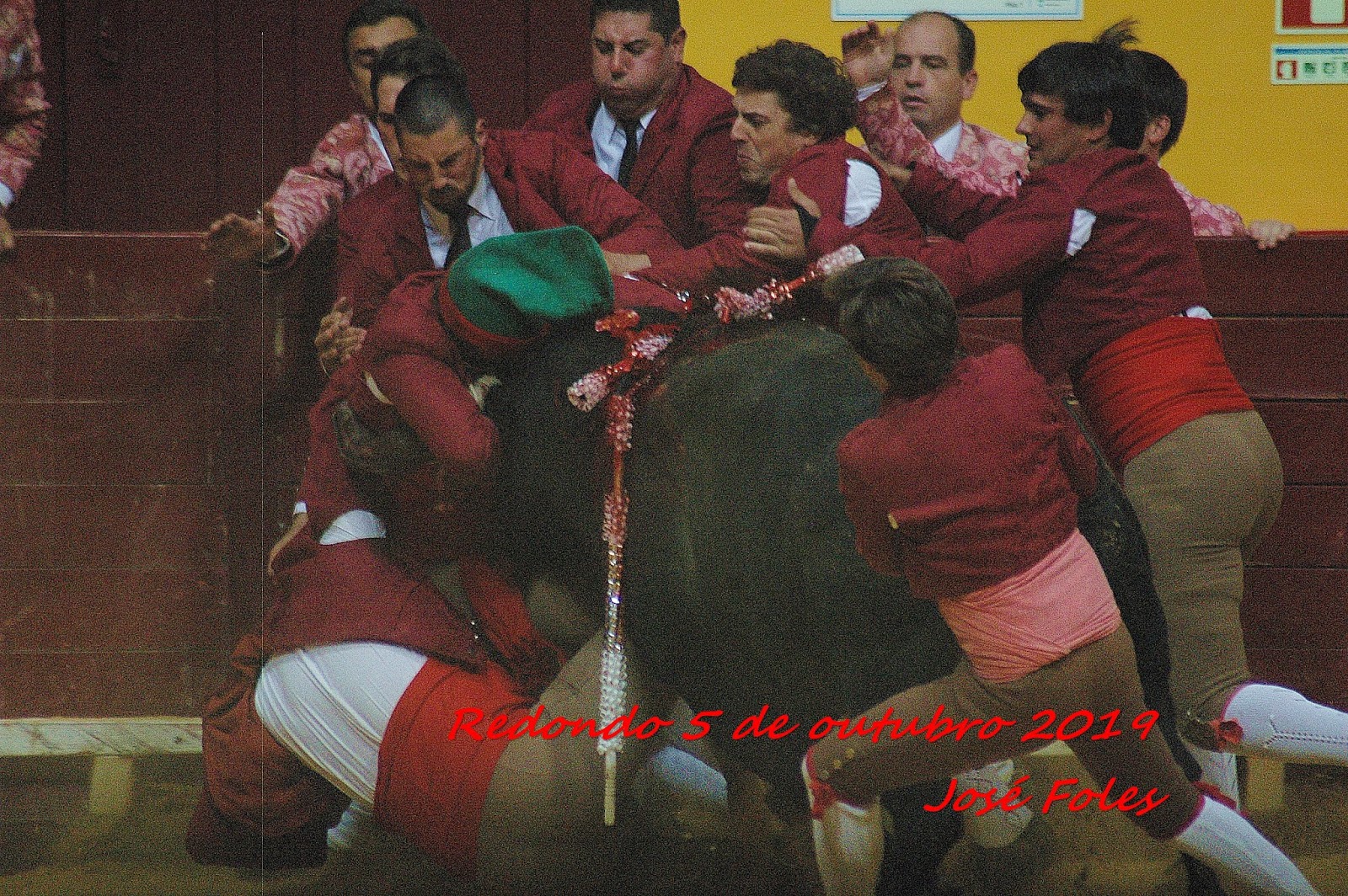 tauromaquia alentejana: FOTOS DO GRUPO DE FORCADOS AMADORES DE MONFORTE ONTEM NO COLISEU DE REDONDO