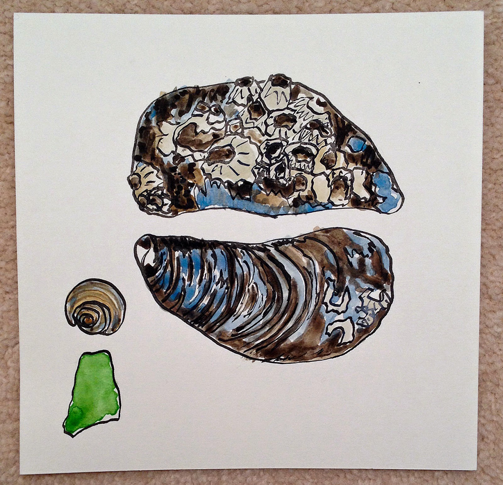 Pulling Prints: Drawing a Day 51 - Mussel Shells from shoreline of the ...