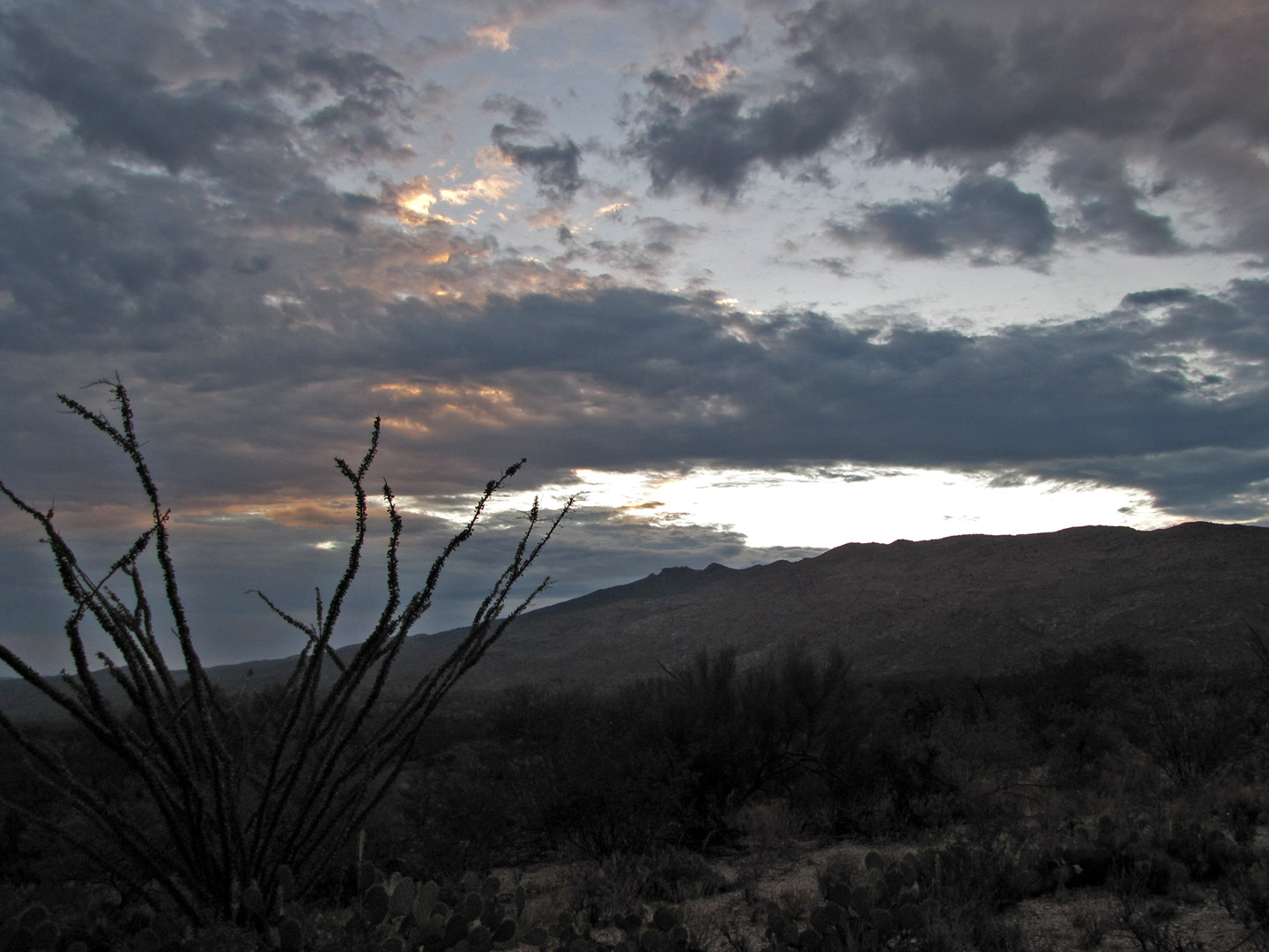 Desert Colors: Early Morning