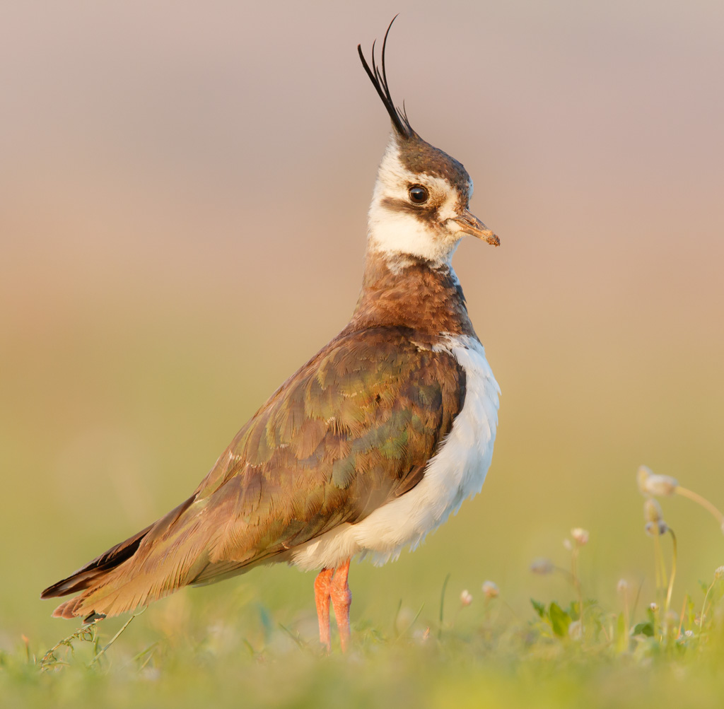 Nikos Fokas Photopraphy Blog