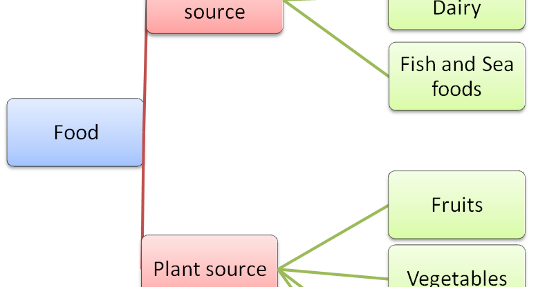 classification of food based on their origin
