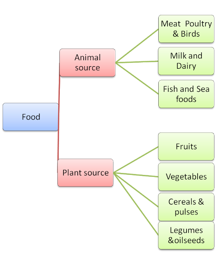 classification of food based on their origin