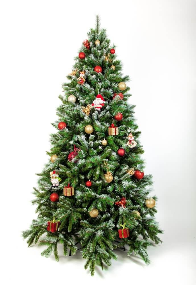 Christmas Tree Pics Free Download