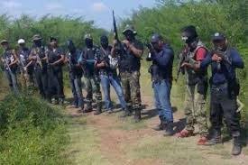 Borderland Beat: CJNG: Power and Violence Operating in 25 States