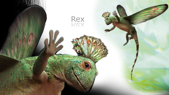 Primeval Image et fiche info: Rex