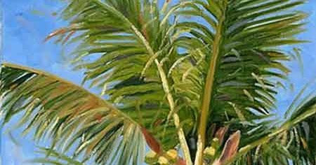 Story Of Origin Of Coconut Tree In Hindu Religion | Hindu Blog