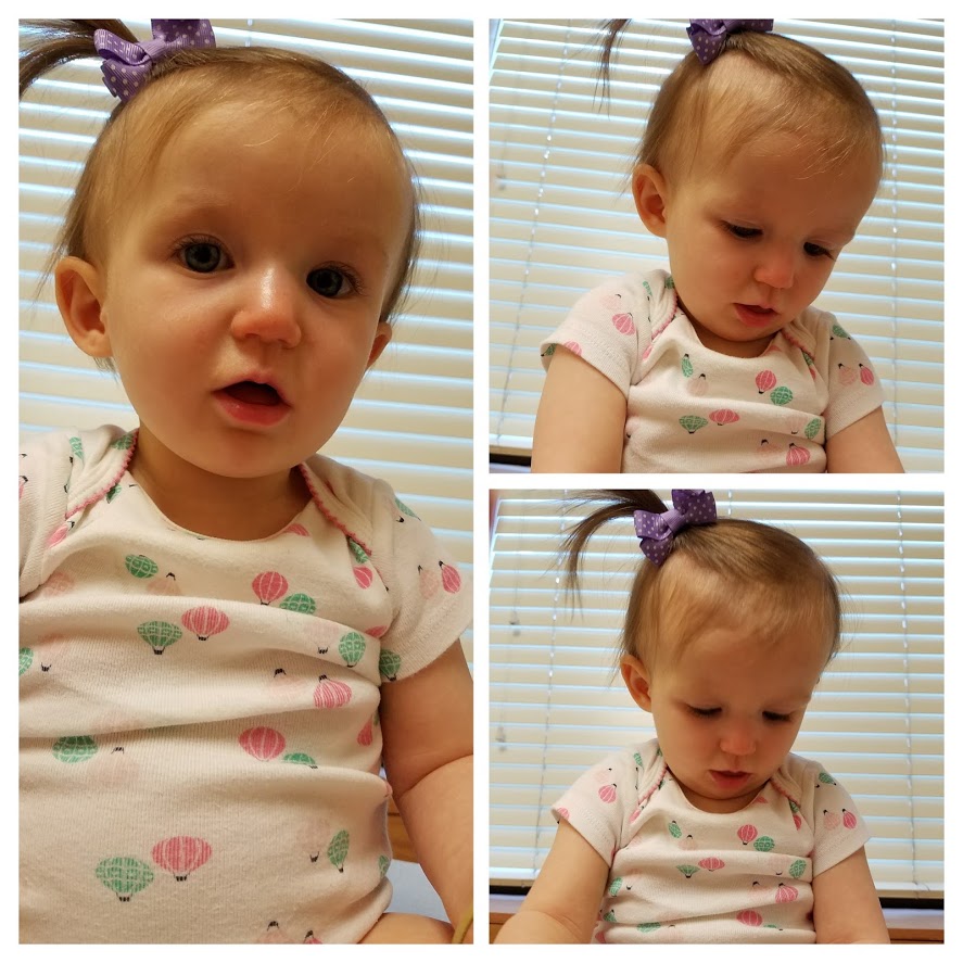 the-buggy-list-11-12ths-of-a-year