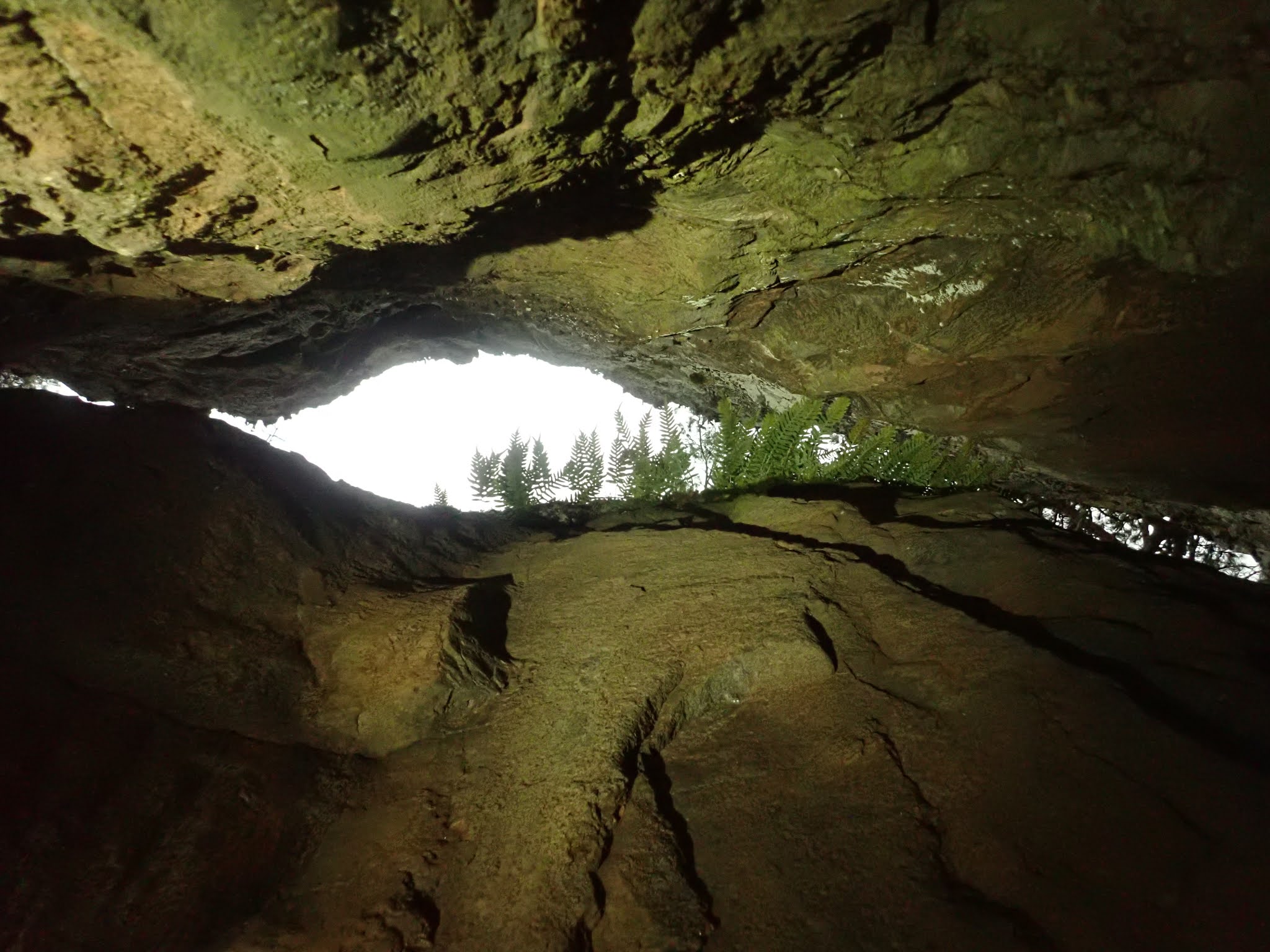 Skiing the Planet: Dogs and caves in Löpärö