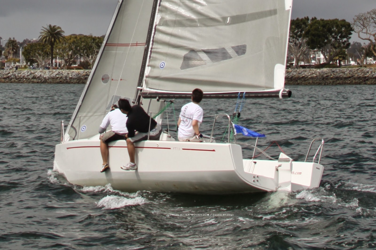 Sailboat Directory: Flying Tiger 7.5M One Design Sailboat