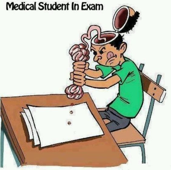 Good Exam Quotes: #7 Exam Quotes For Students Funny
