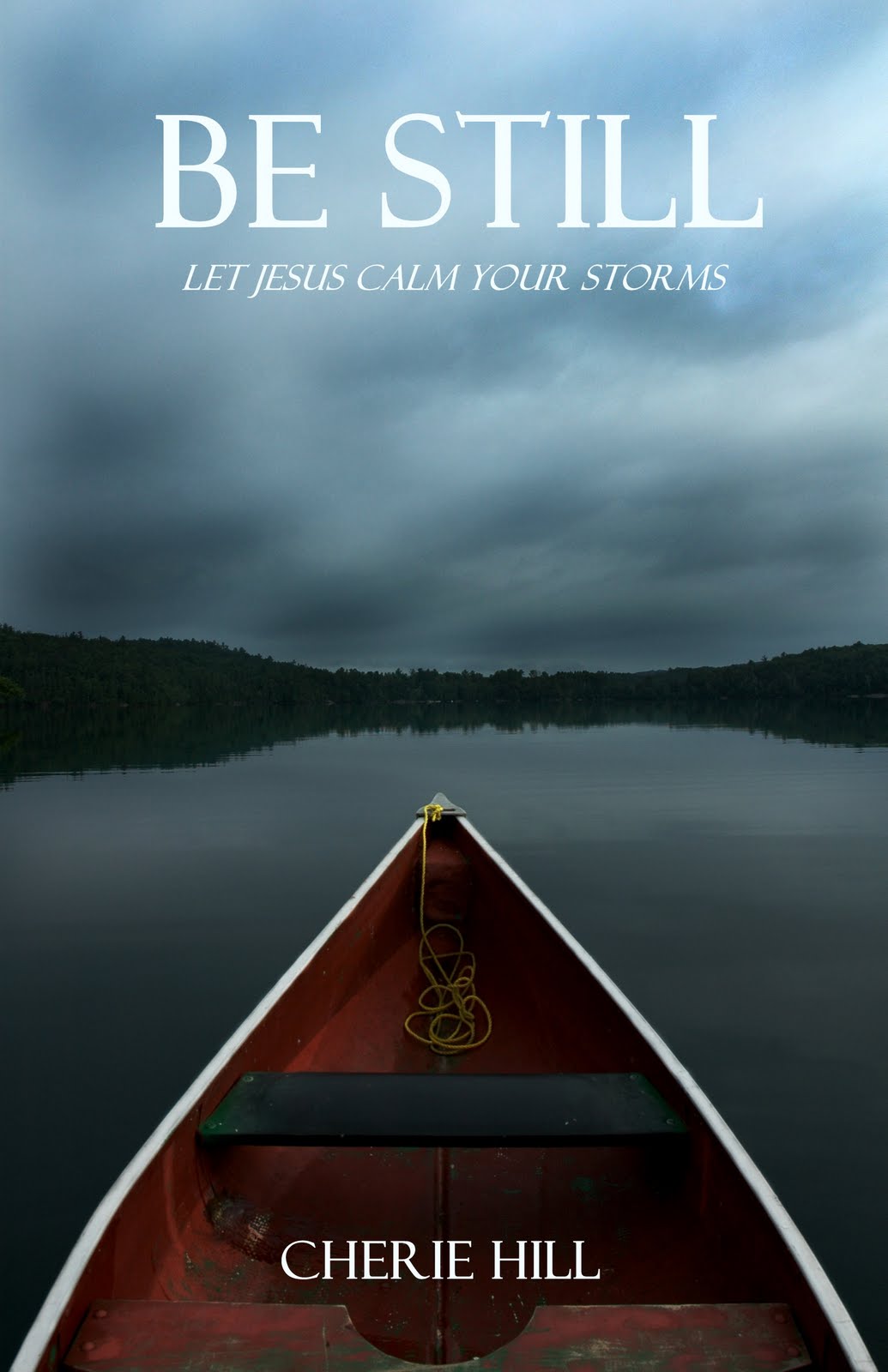 In the Top 25! AND Kindle BestSellers Ranking!