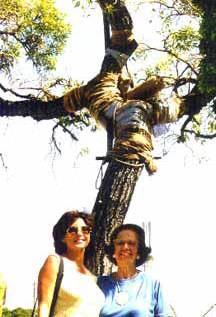 Mark's Urban Forest: Annie Beck Memorial Tree