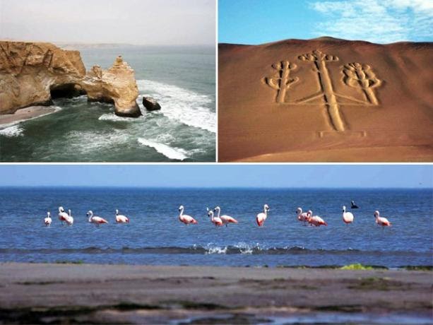 Lugares Turísticos de Ica: PISCO