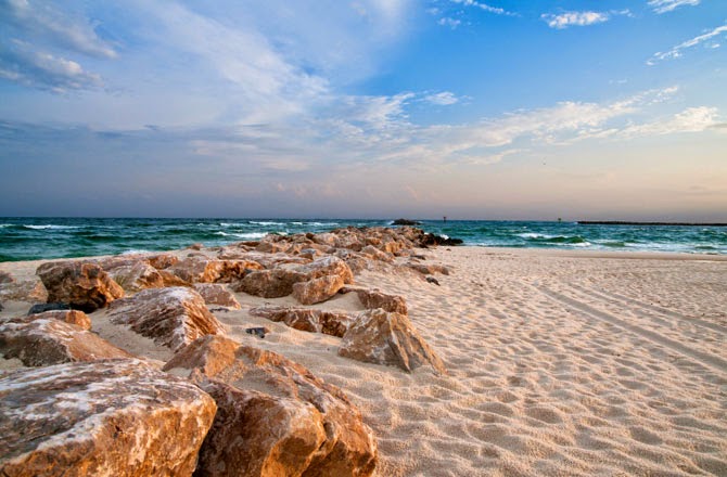 Piece of Africa Found Under Alabama