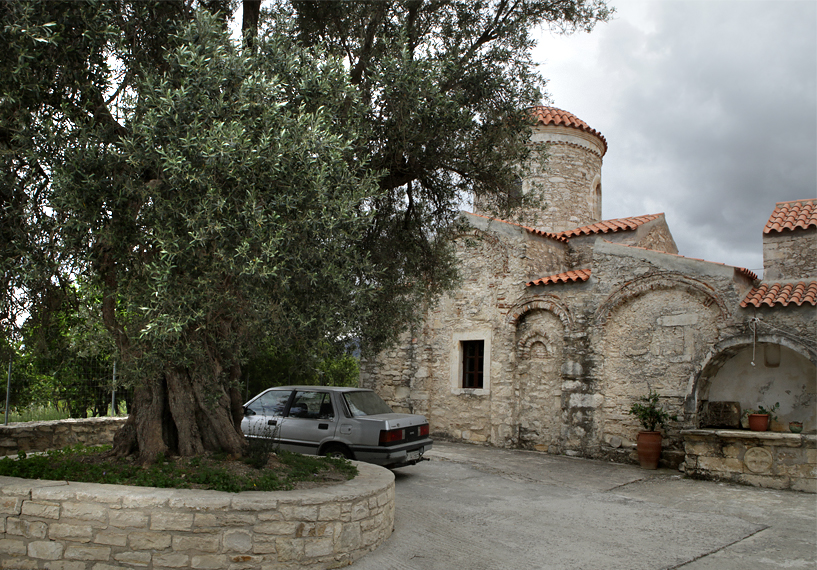 Antiguos OLIVOS del Mediterráneo : GREECE. ELLADA. CRETE. RETHYMNO ...