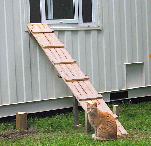 The Crate Outdoors: Getting in a flap