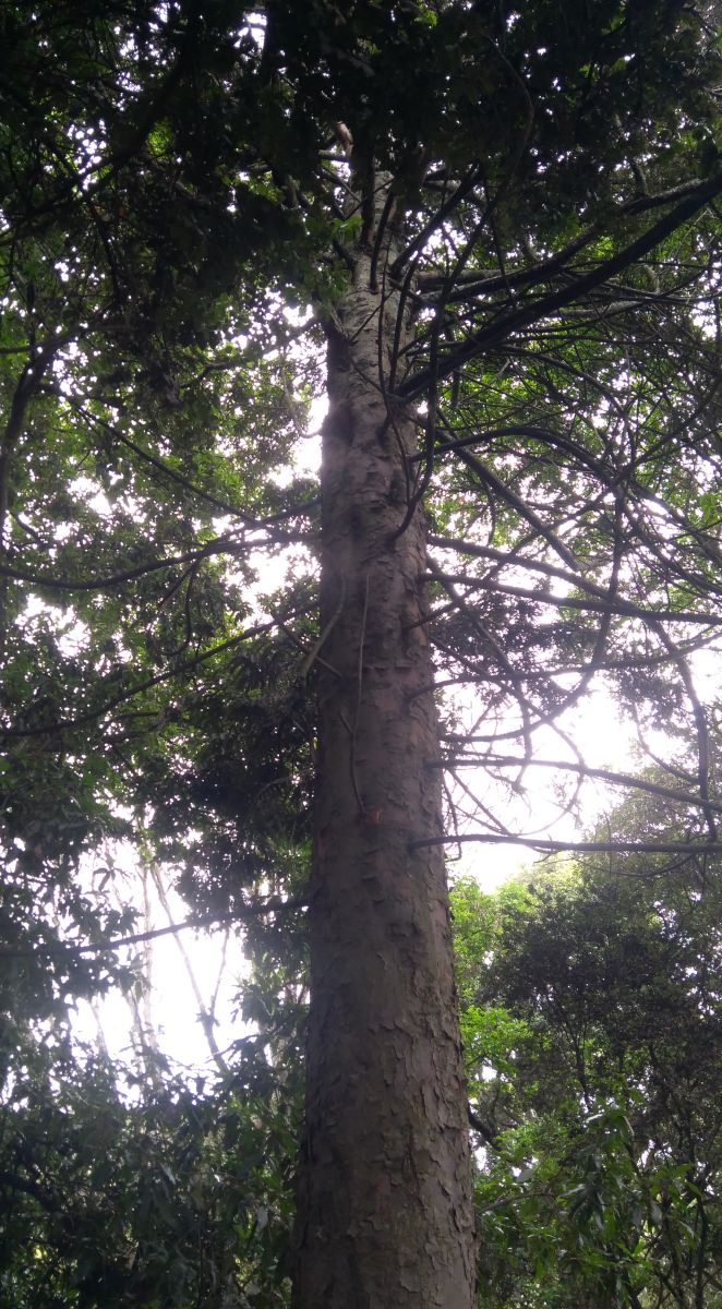 El blog de Jair Beltrán