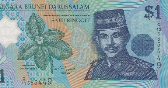 World Banknotes: Banknotes of Brunei