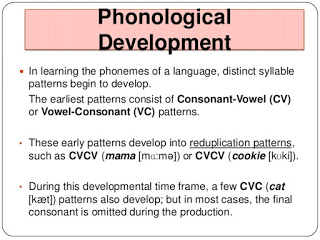 Language Development: Phonological Development