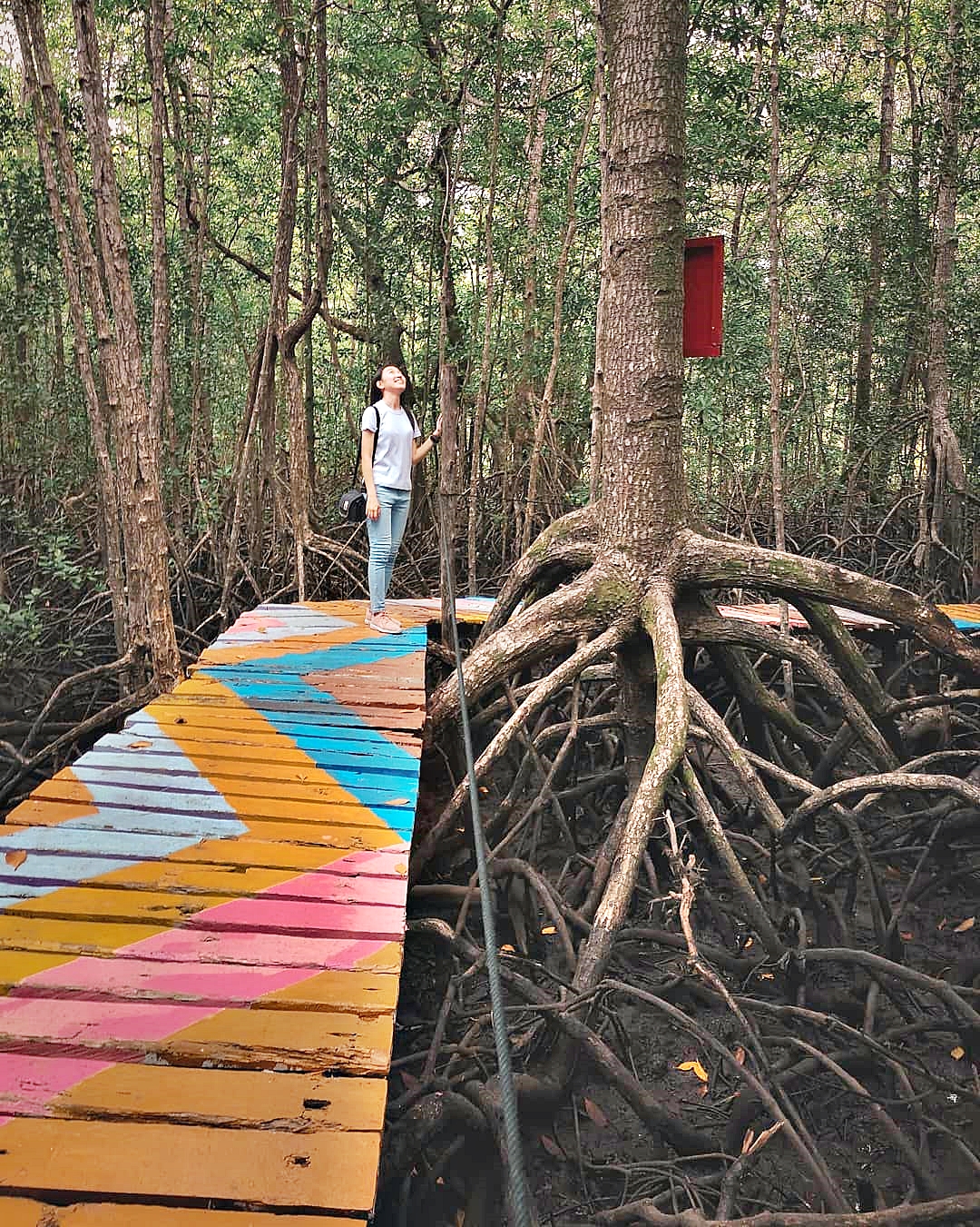 Pitas Bay View Sabah Malaysian Borneo (36 Photos)