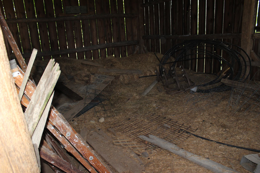 Elba Farm House: Starting the Barn Cleaning
