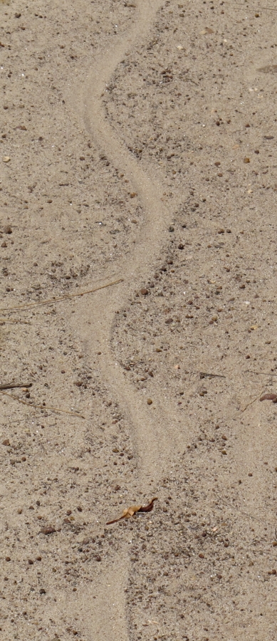 Old writer on the block: April 2012