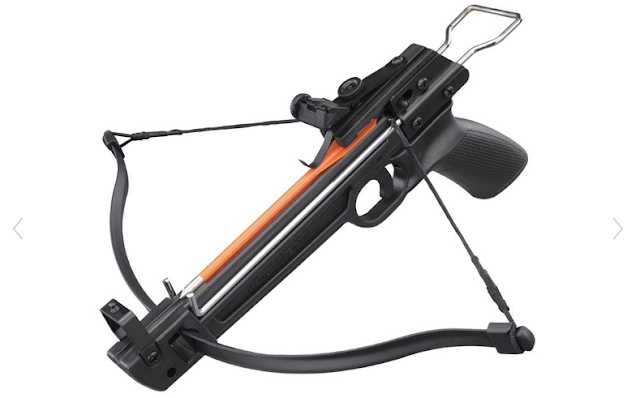 Crossbow & Compound Bow - The Most Effective Hunting Weapons