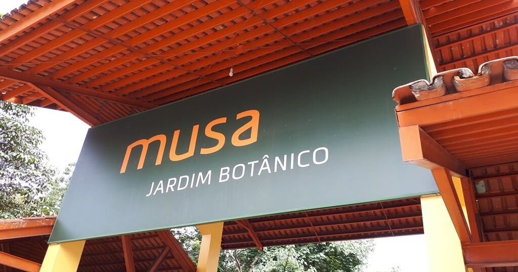 Museu da Amazônia, o MUSA, uma forma de ver a floresta amazônica em ...