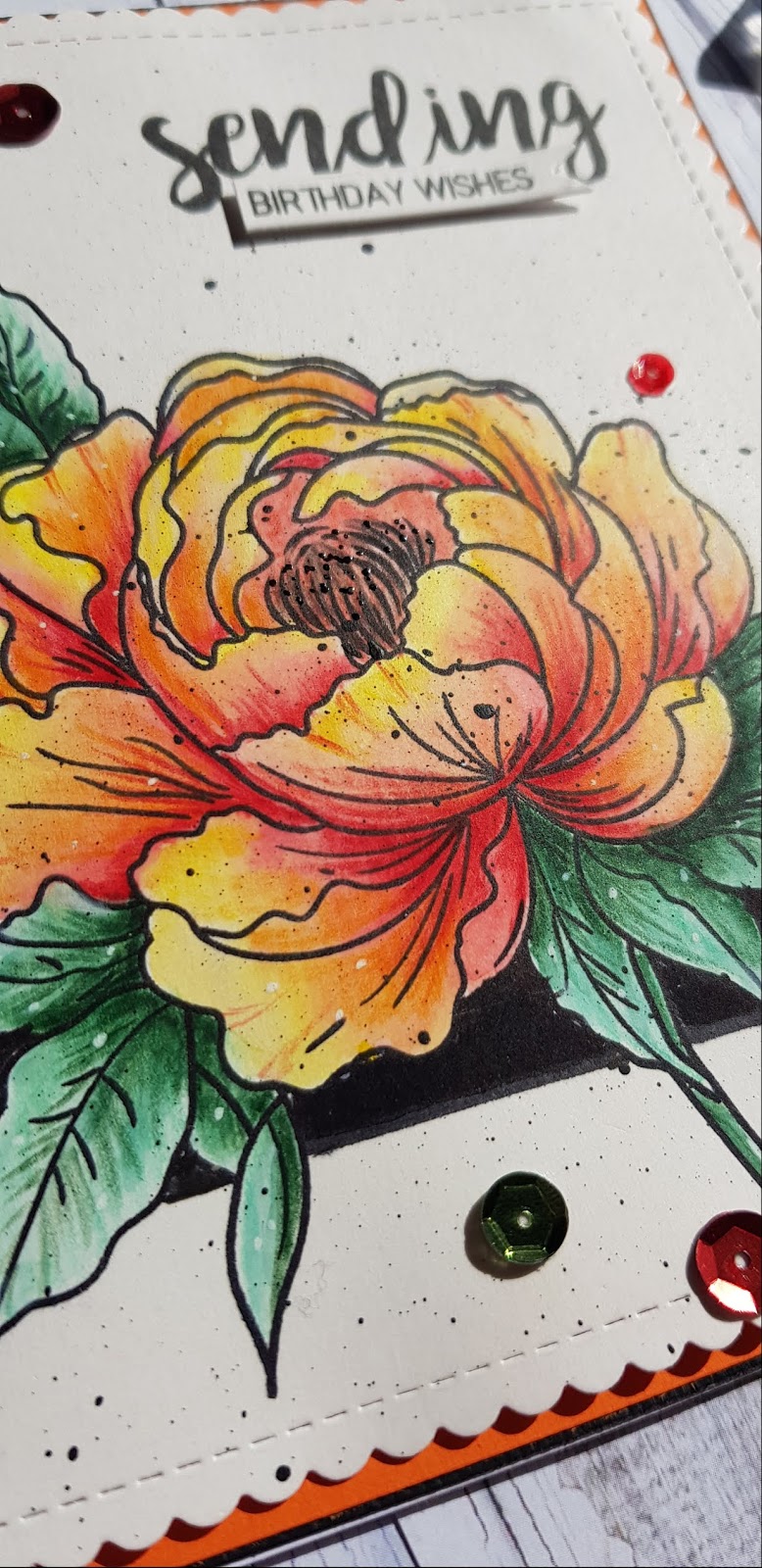 Creative Clark by Alli C