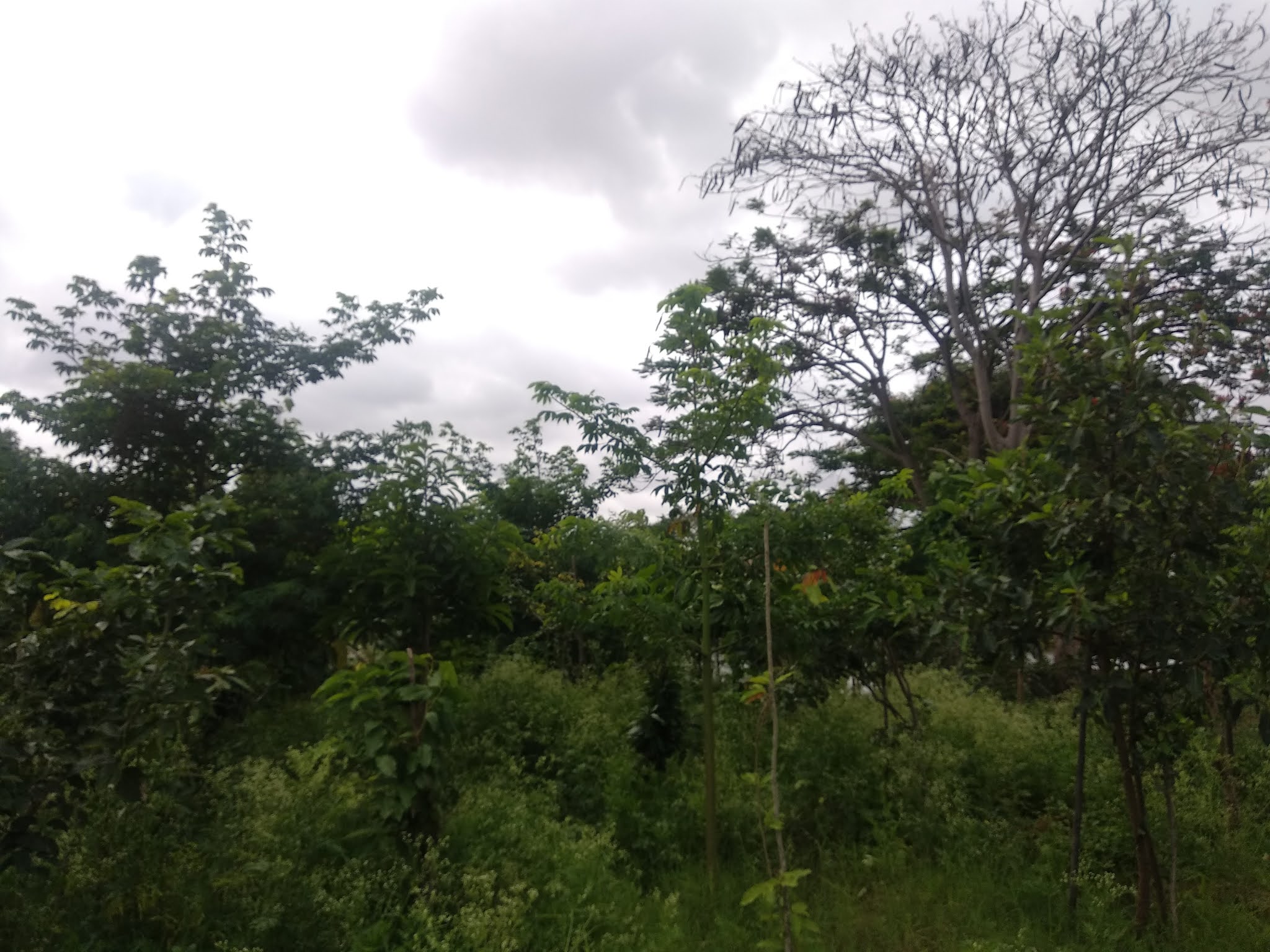 Kannamangala lake rejuvenated through Citizen-driven Participatory ...