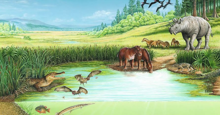 EVERYTHING ABOUT ARCHAEOLOGY: WHAT IS THE EOCENE