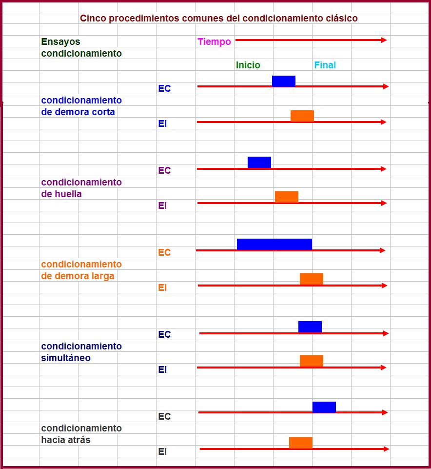 Condicionamiento clásico ( Aprendizaje y conducta): Procedimientos de ...