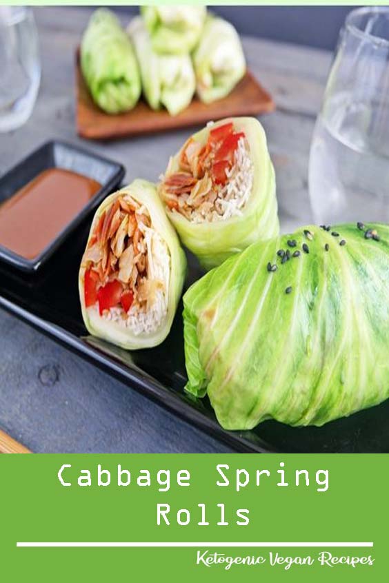 Cabbage Spring Rolls - Festval Food