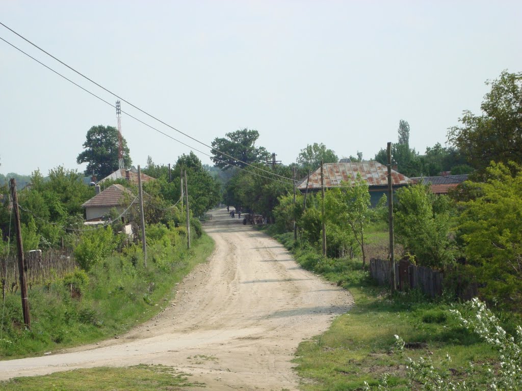 Popa Marius Claudiu - Fotografii: Poze Comuna Falcoiu - Judetul Olt