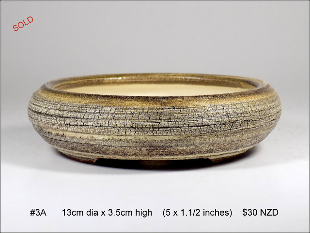 Fionna's Bonsai Pots, Kiwi Made, In New Zealand: Accent