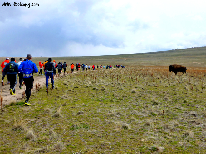 Fast Cory: Buffalo Run 100 Race Report - New PR!