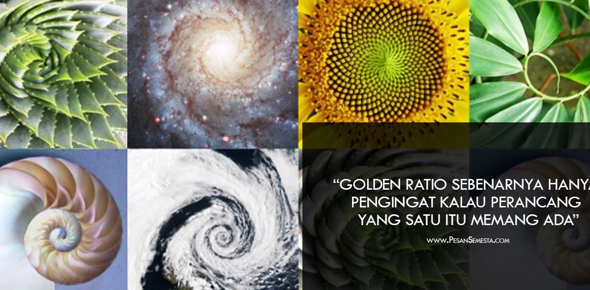 APAKAH GOLDEN RATIO (RASIO EMAS) = 1,618 ADALAH KEBETULAN? | Pesan Semesta