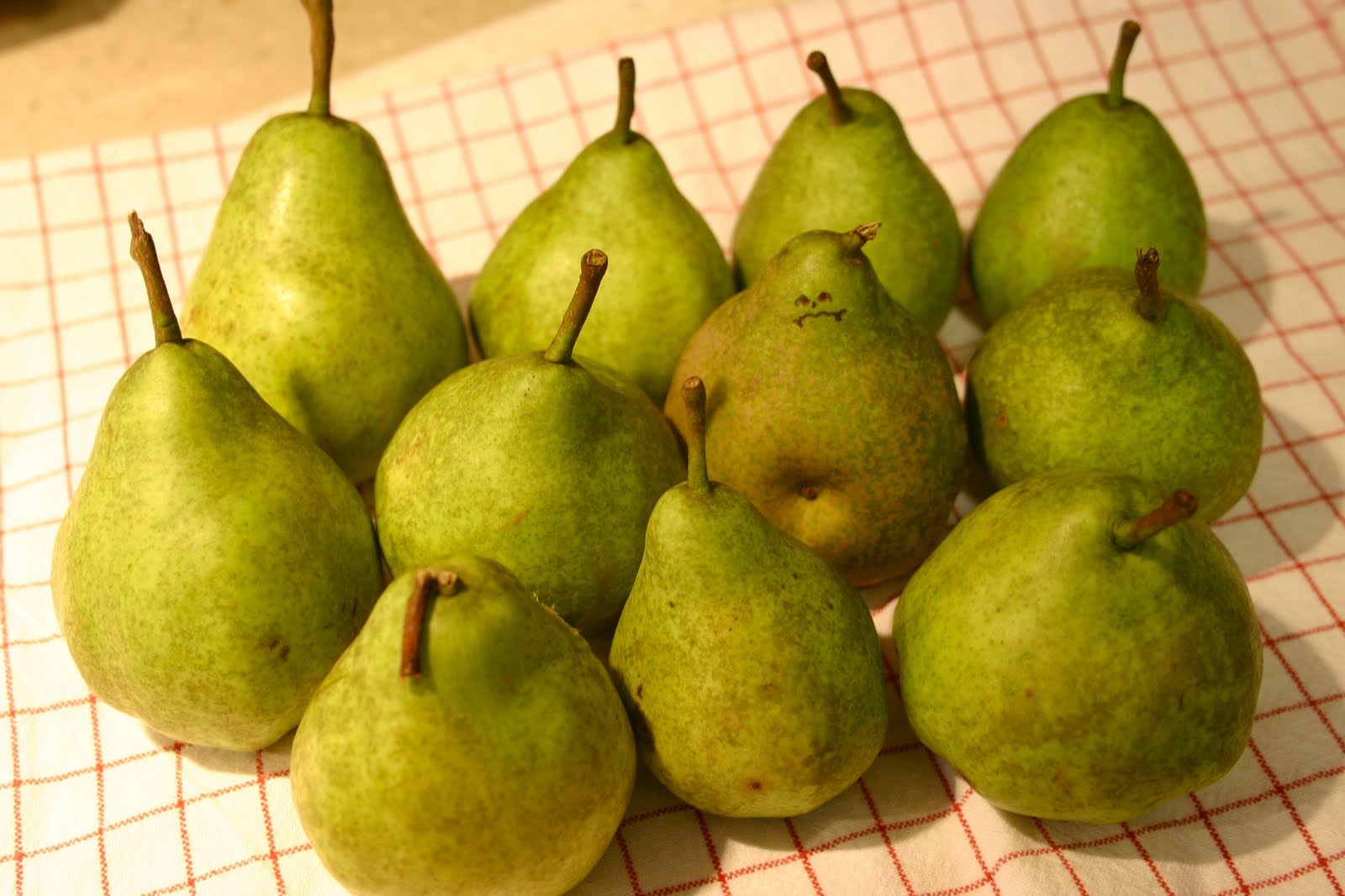 Flannel Jammies Farm: Percy Pear's Canning Scare