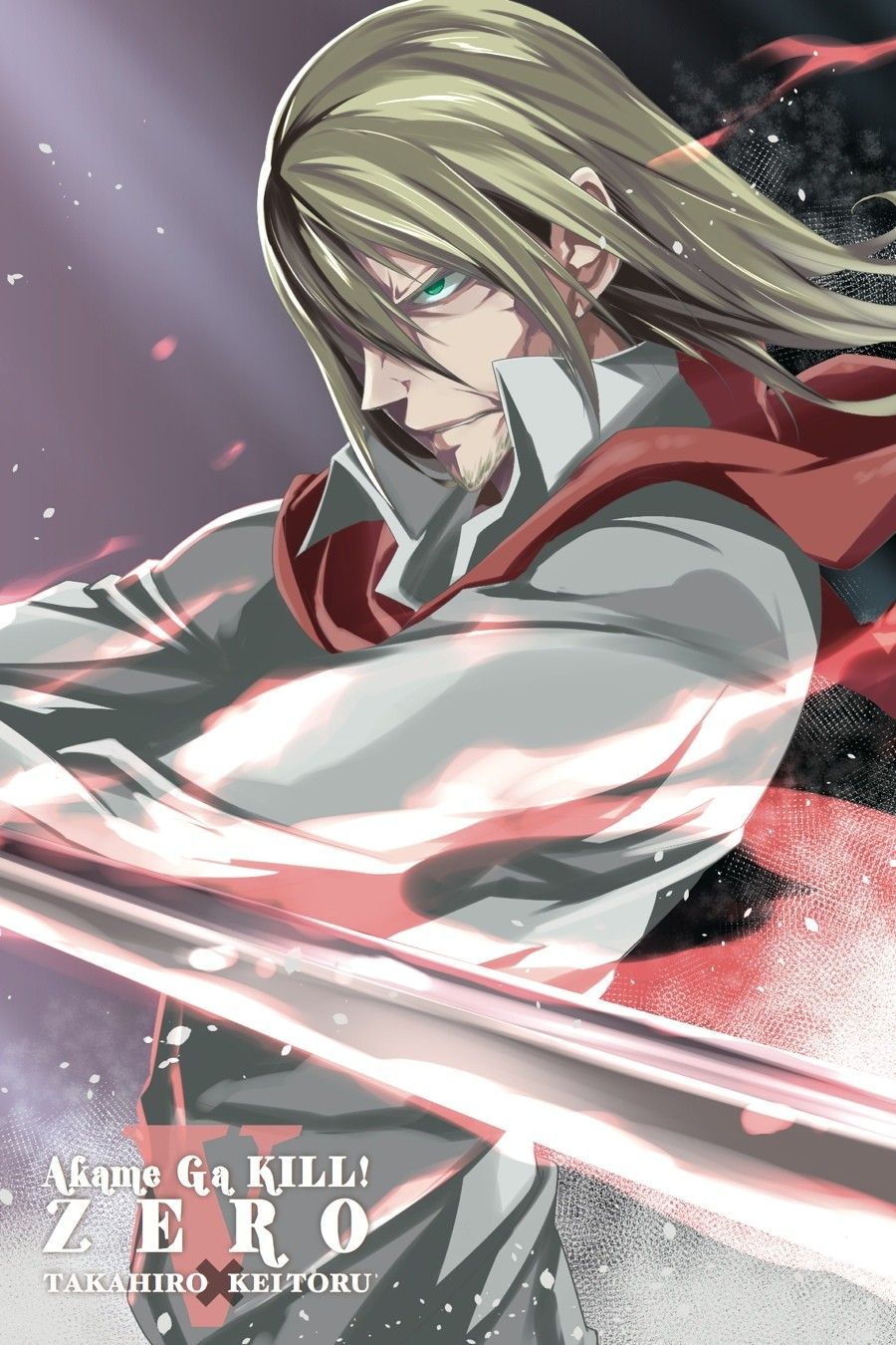 Teigu- AKAME GA KILL