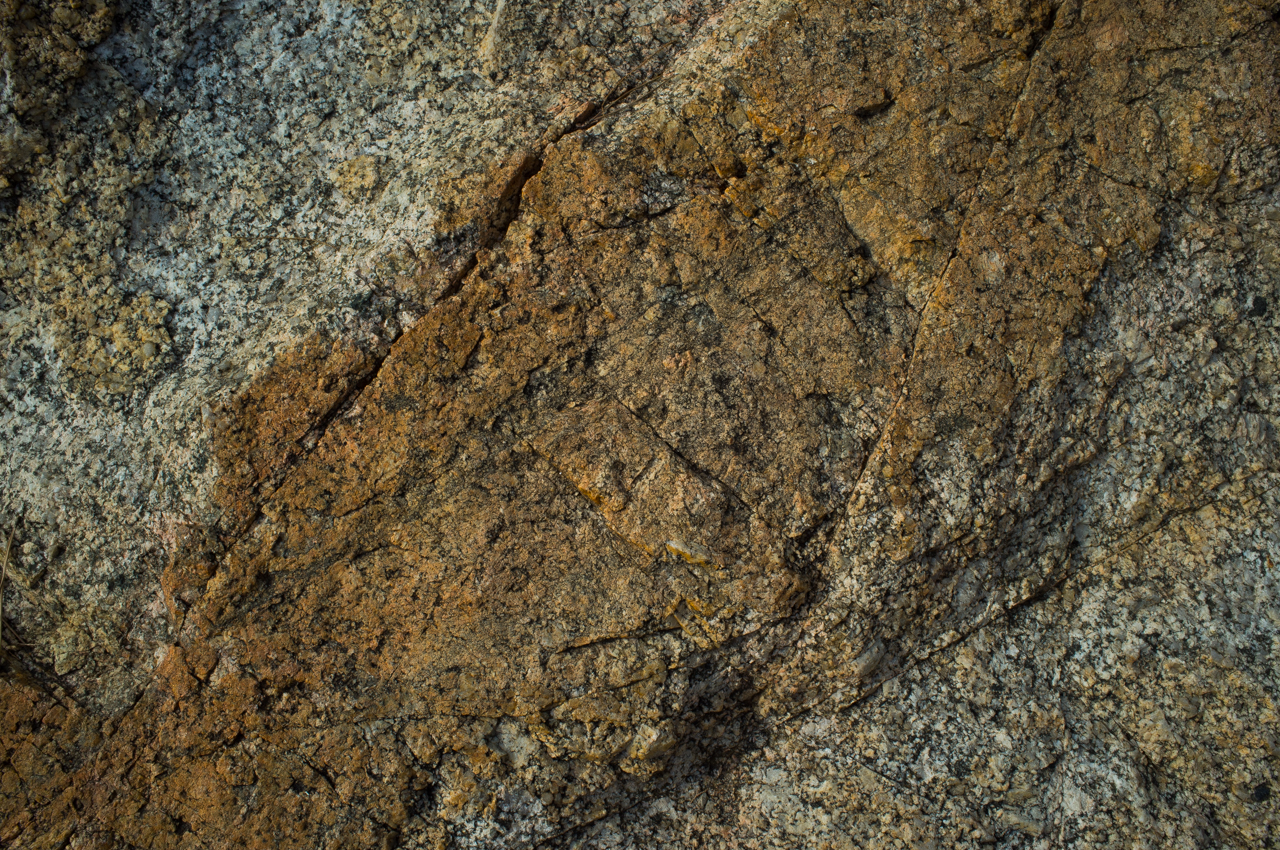 Fotografia Edurne Iza: Texturas Naturales