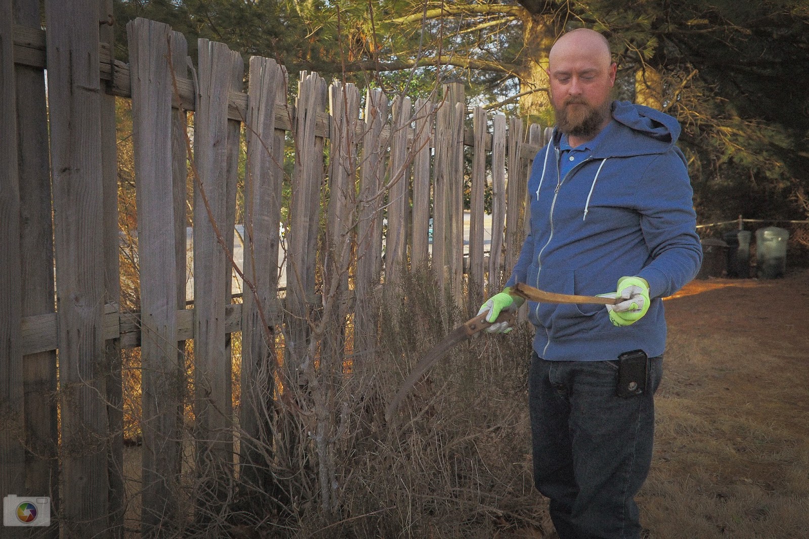 Focus on the Stories: First Signs of Spring