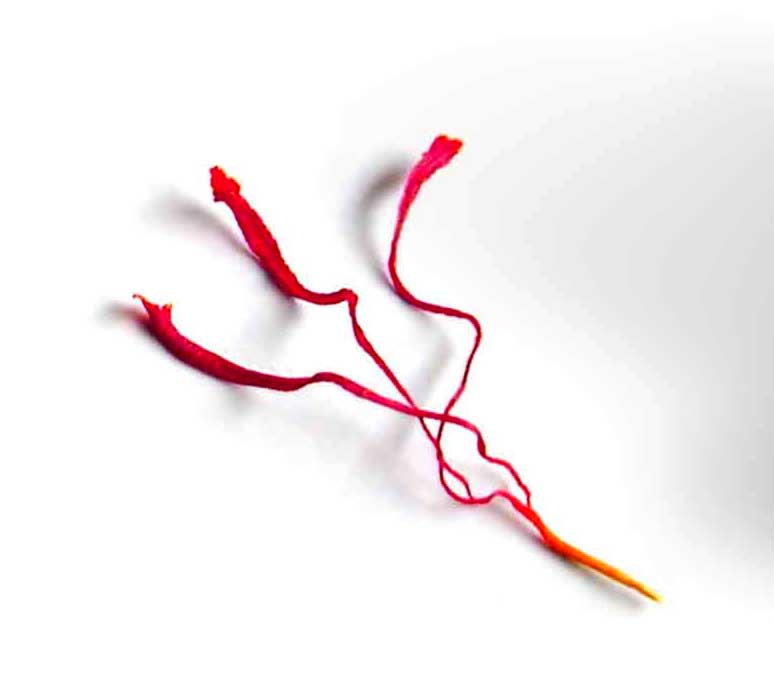 JayBee's Trishul: KUNGUMA POO